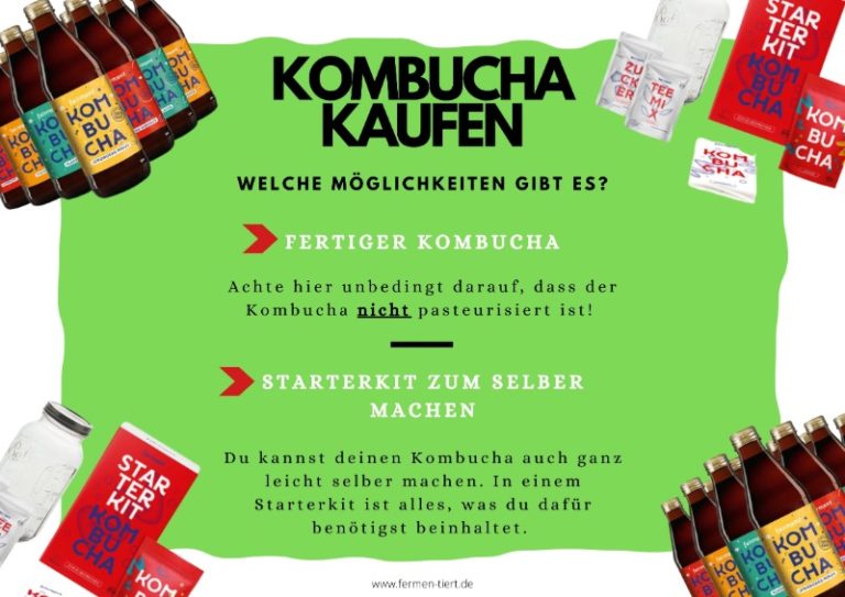 Kombucha kaufen – Das solltest du wissen | fermen-tiert